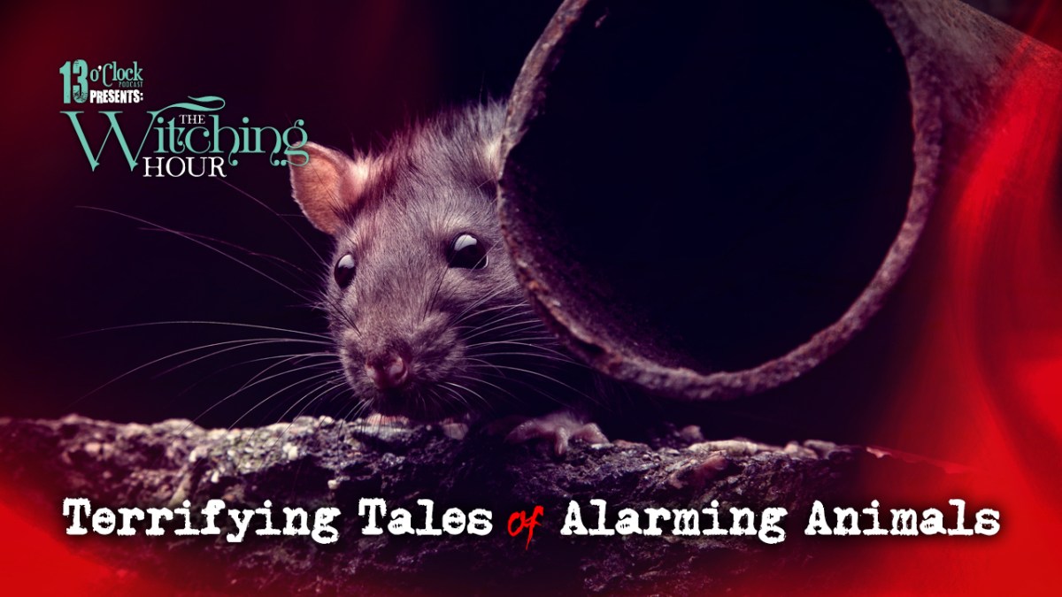 13 O’Clock Presents The Witching Hour: Terrifying Tales of Alarming ...